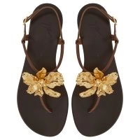 ORCHID FLAT: Flats Brown | Giuseppe Zanotti