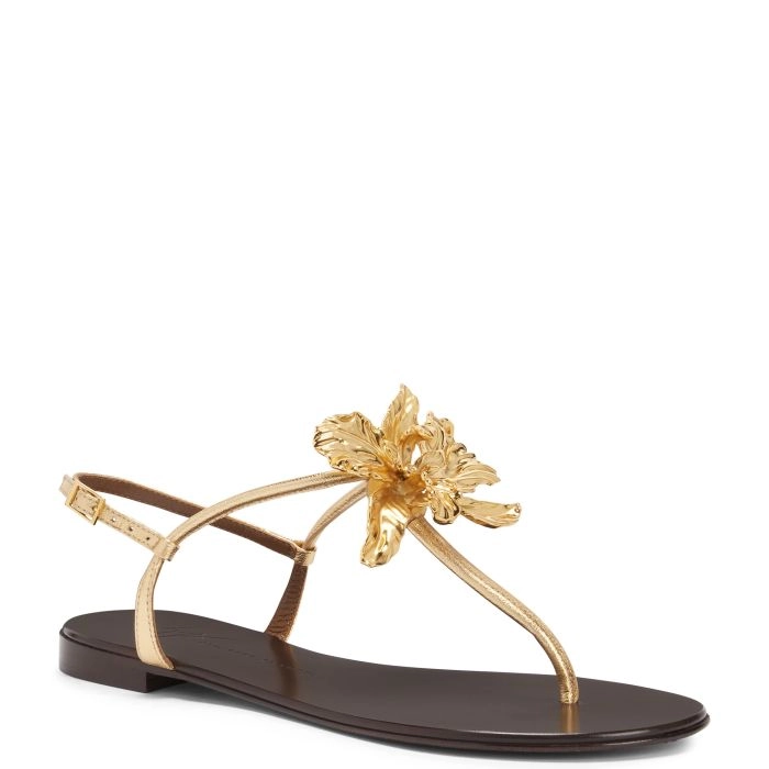 ORCHID FLAT: Flats Gold | Giuseppe Zanotti